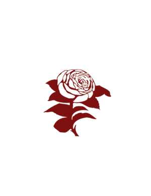Sub Rosa Theatre Collective