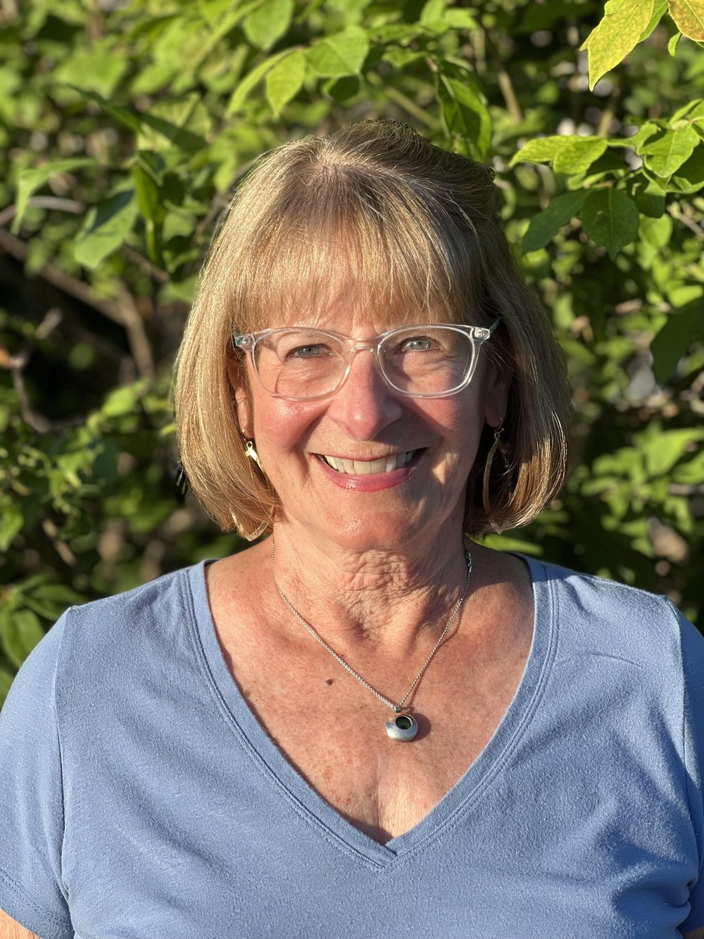 About the Ozaukee County Democratic Parthy | Ozaukee Democrats