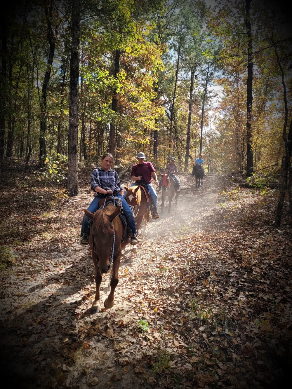 Soul of Dixie Trail Rides
