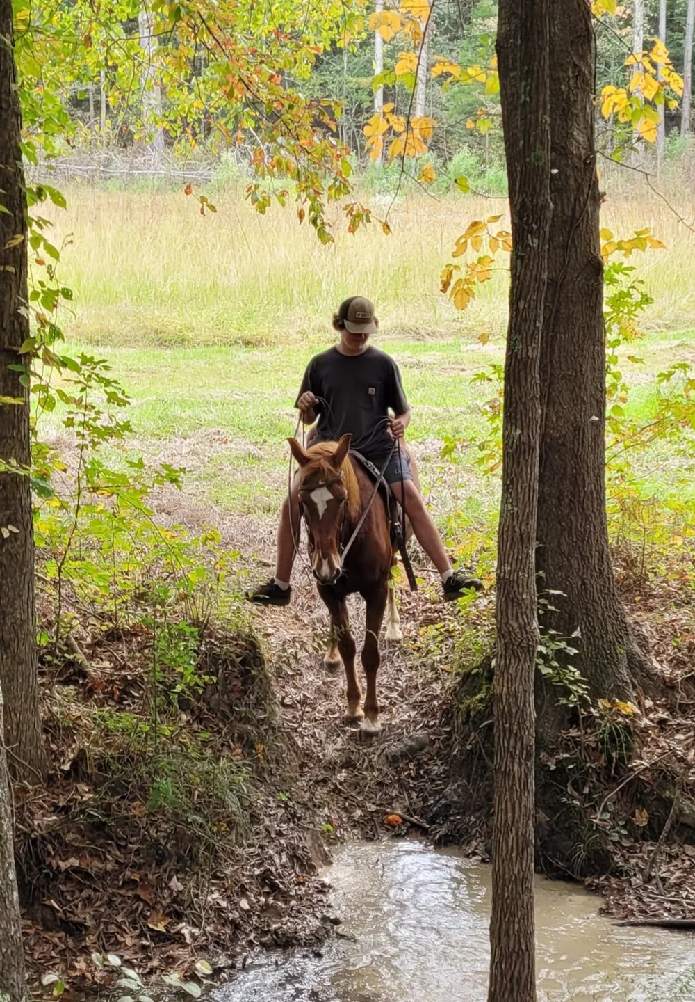 Soul of Dixie Trail Rides