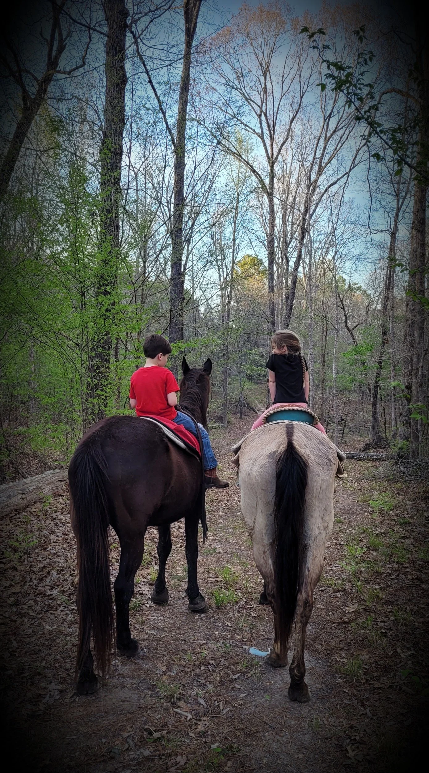 Soul of Dixie Trail Rides