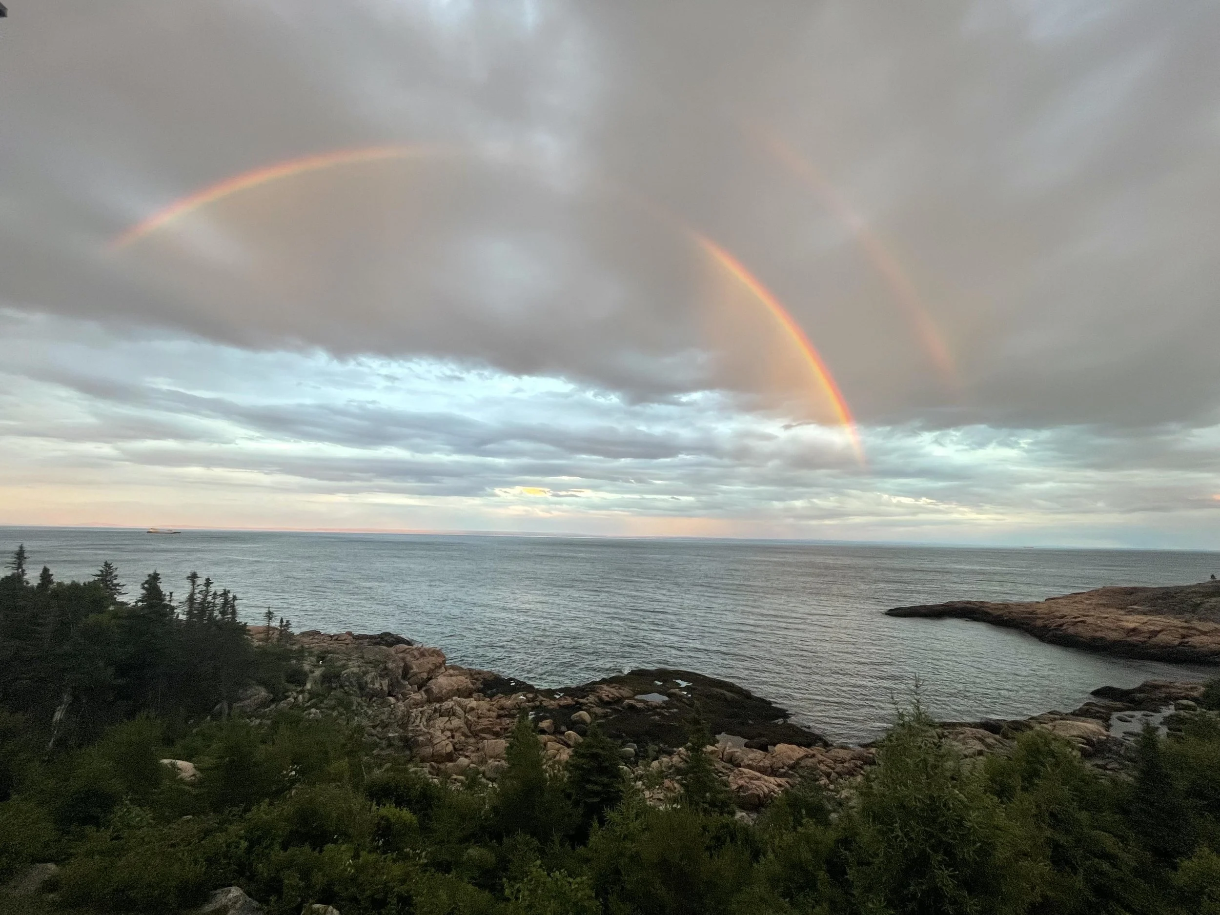 All Programs — Queer Joy Collaborative