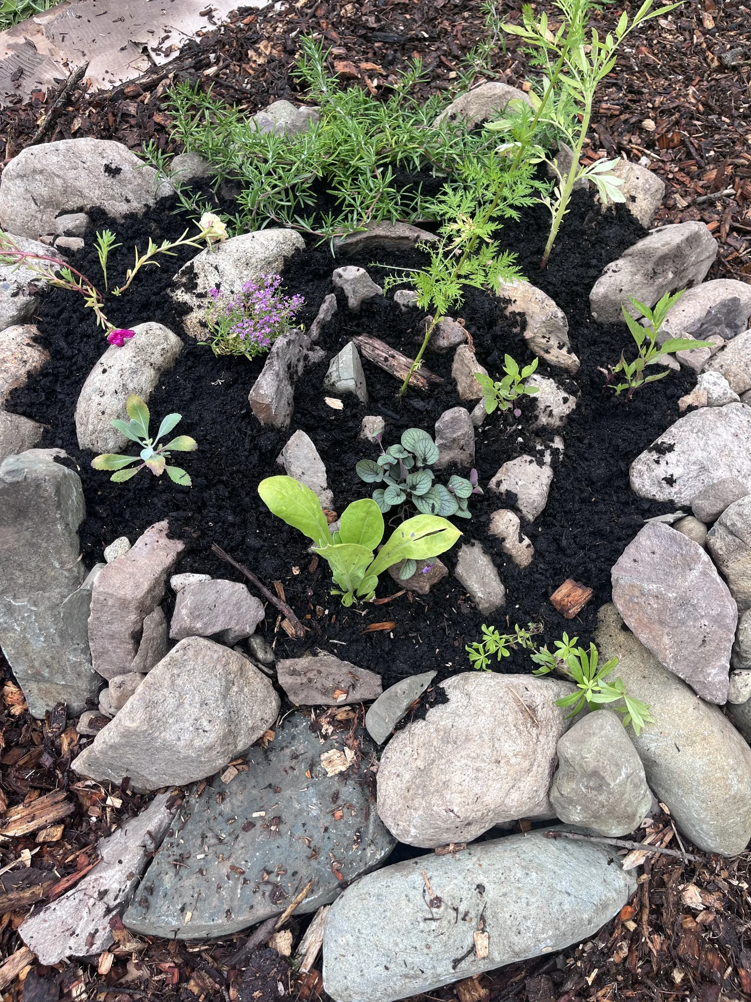 Julie Levin Coaching & Consulting