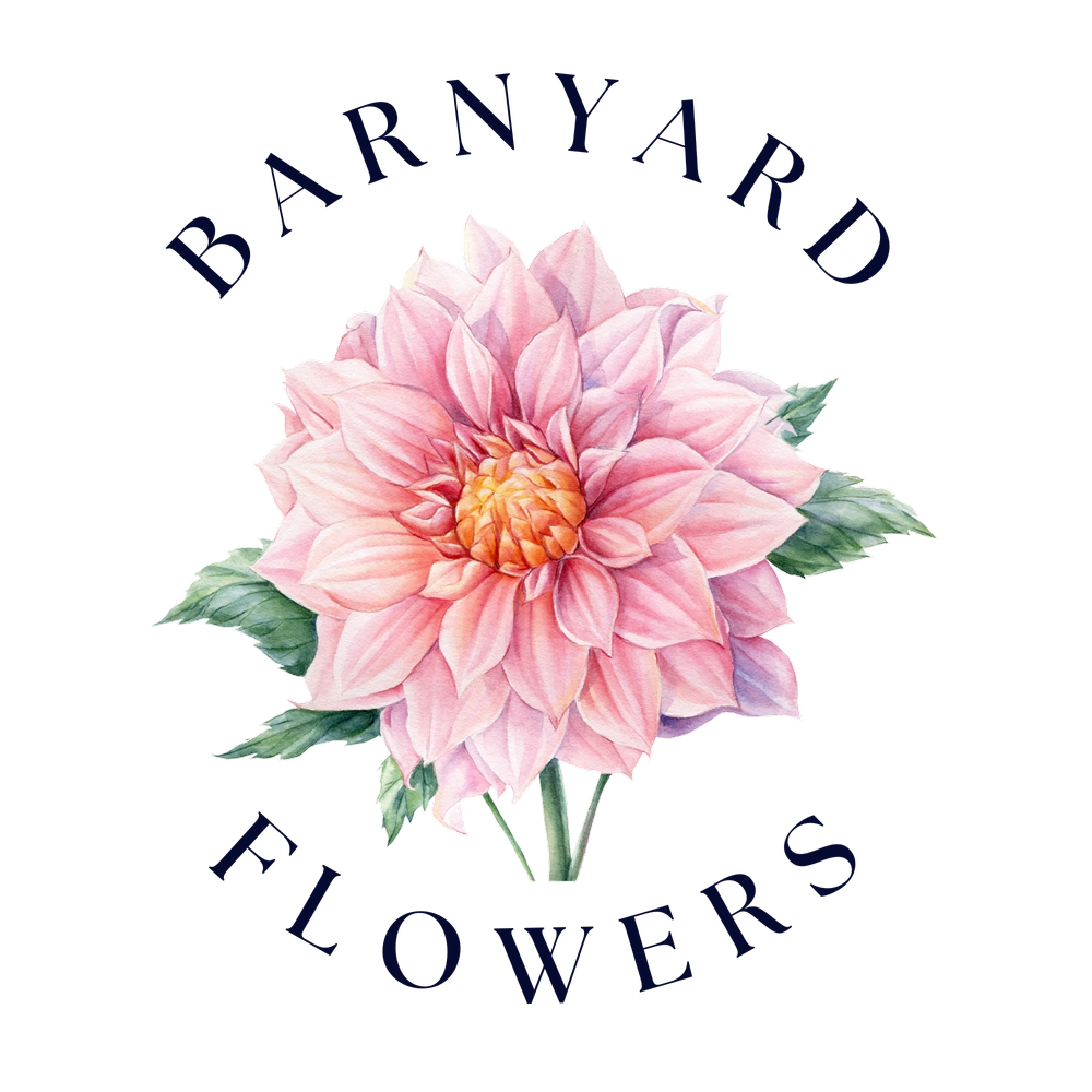 Barnyard Flowers - Artisan-cut flower growers based near Stamford, UK.