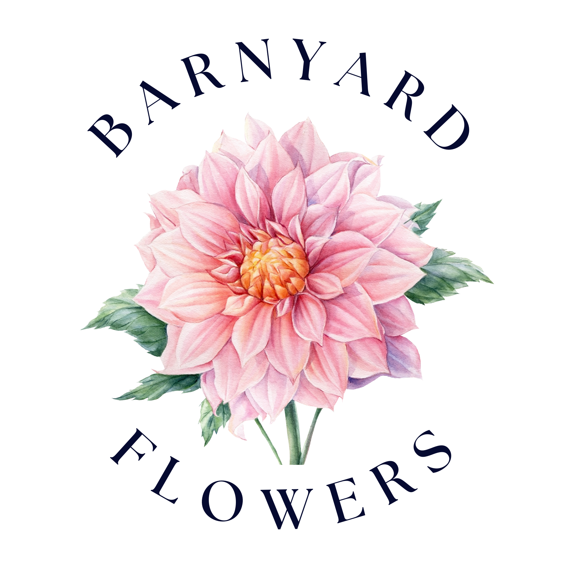 Barnyard Flowers - Artisan-cut flower growers based near Stamford, UK.