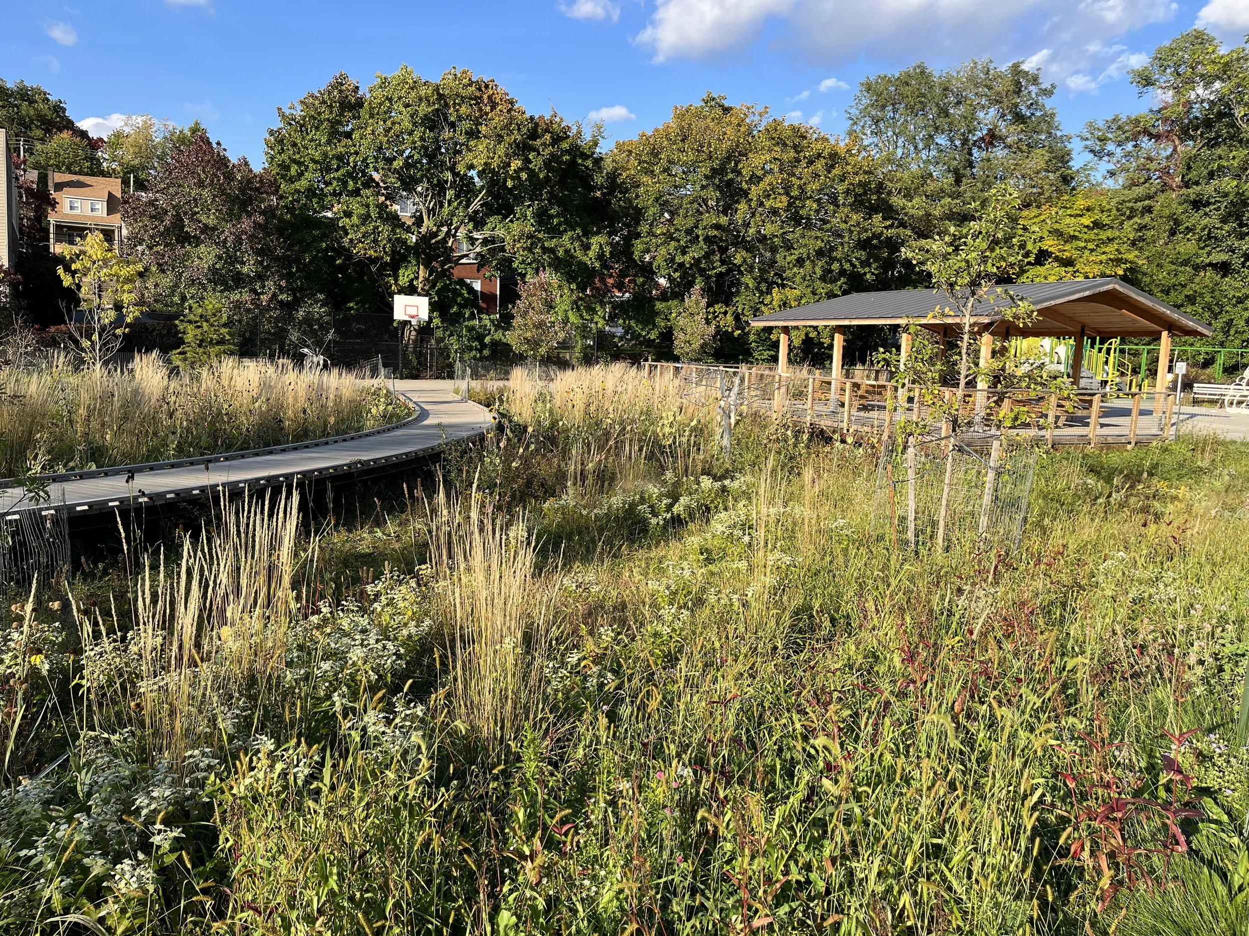 Wightman Park | Pre-Fabricated Boardwalks | Madison | Modular Trail ...