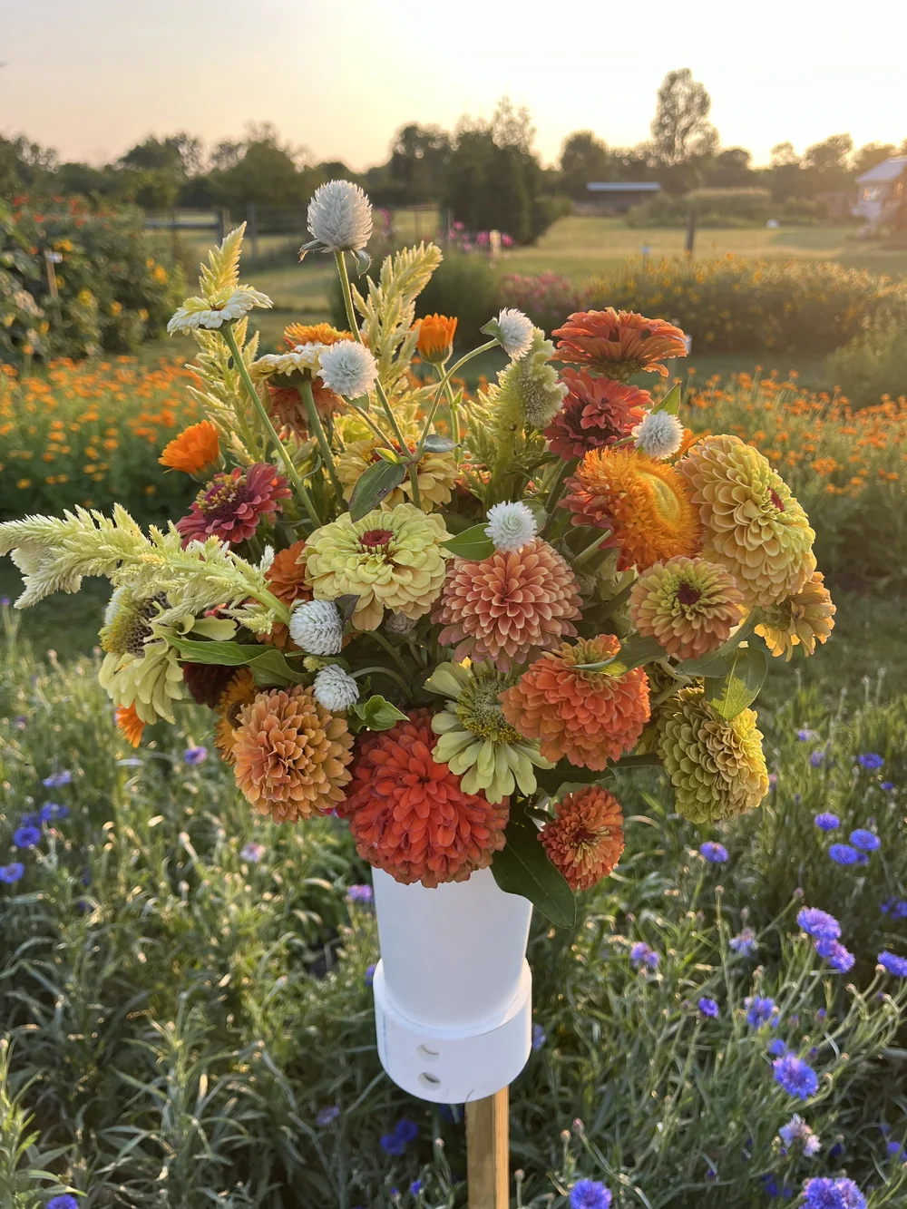 Brown's Triple B Farm