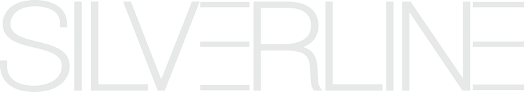 Our Services — Silverline