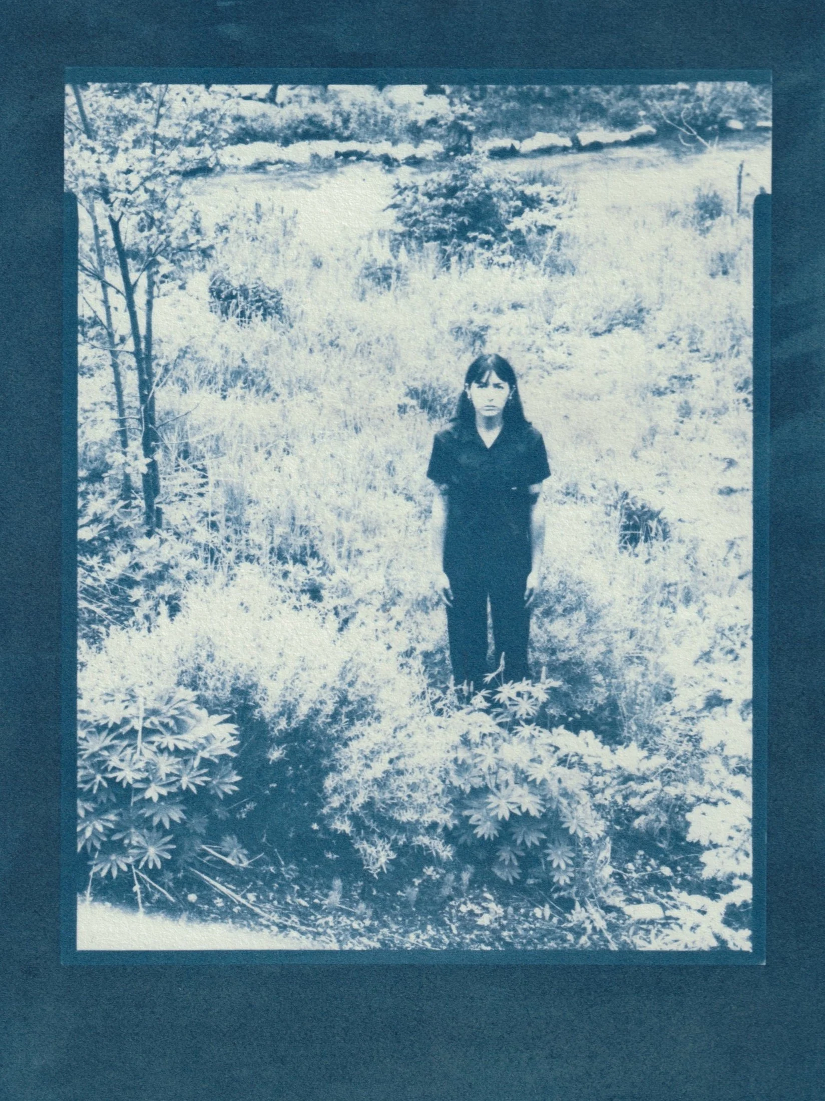CYANOTYPES & ANTHOTYPES 2024 — roadrunnerarchive