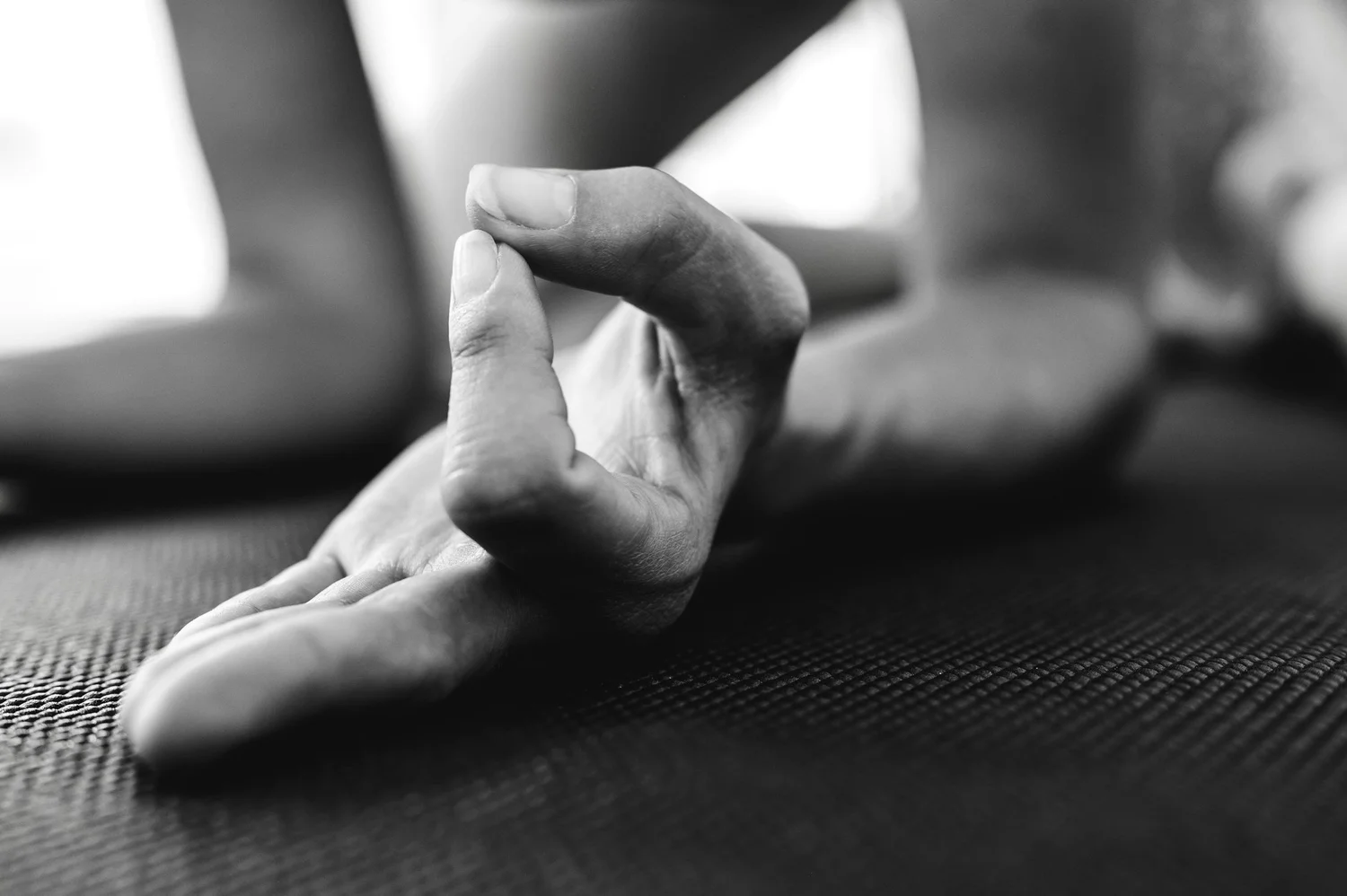 Screaming Pigeon Yoga Studio, Glen Cove, NY