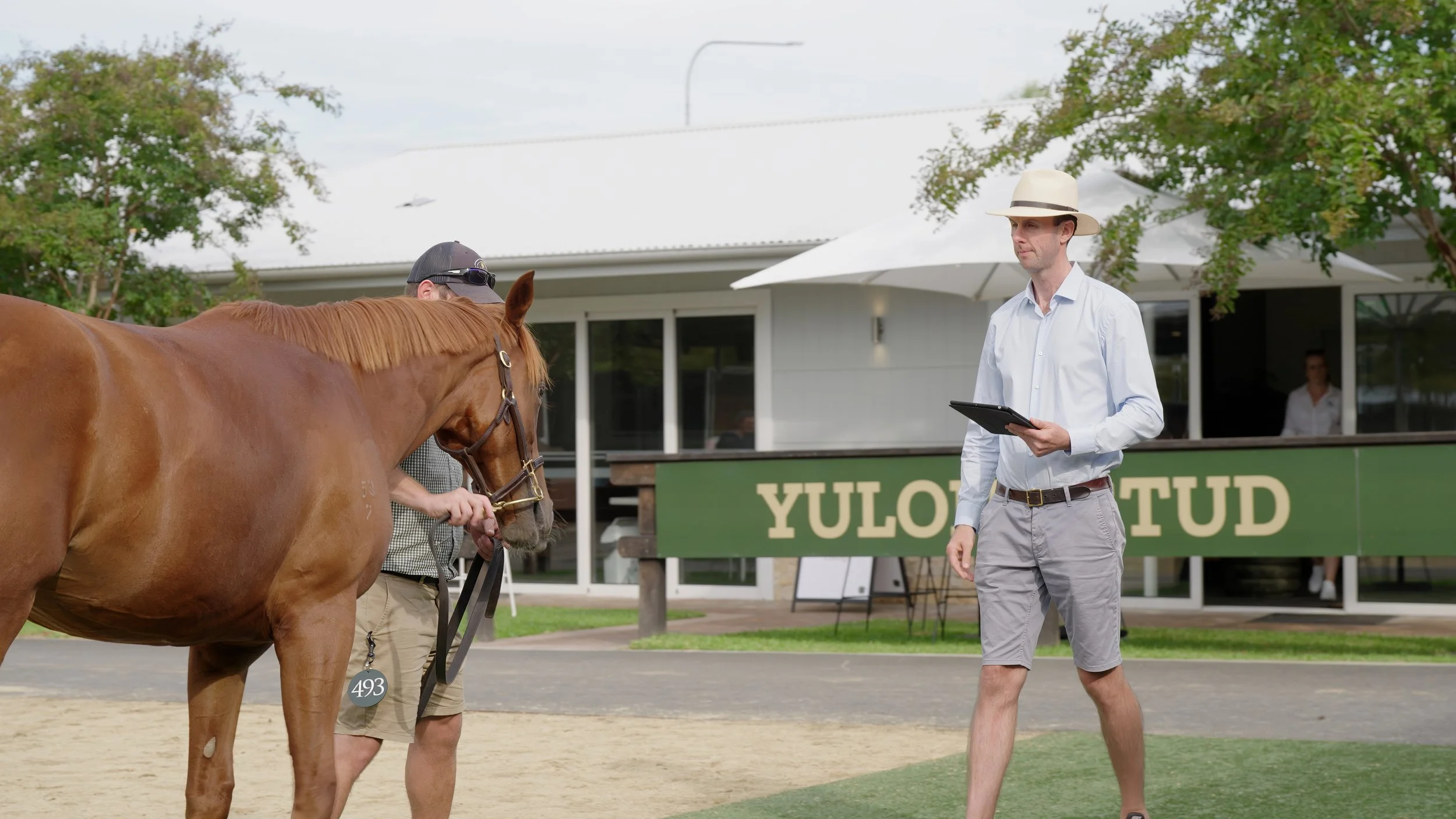 Brad McCarthy Bloodstock