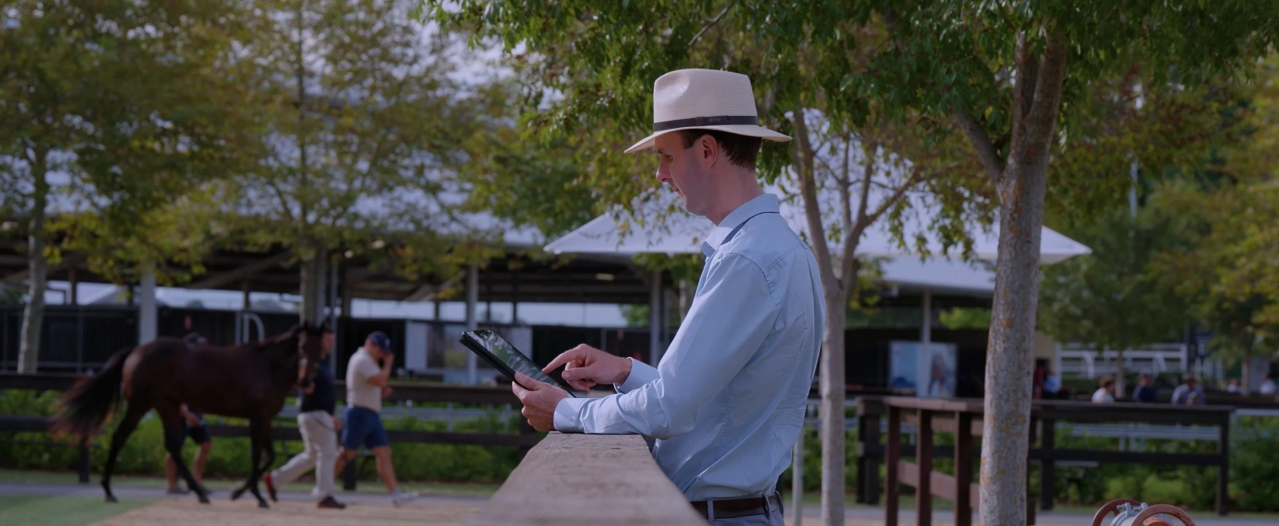Brad McCarthy Bloodstock