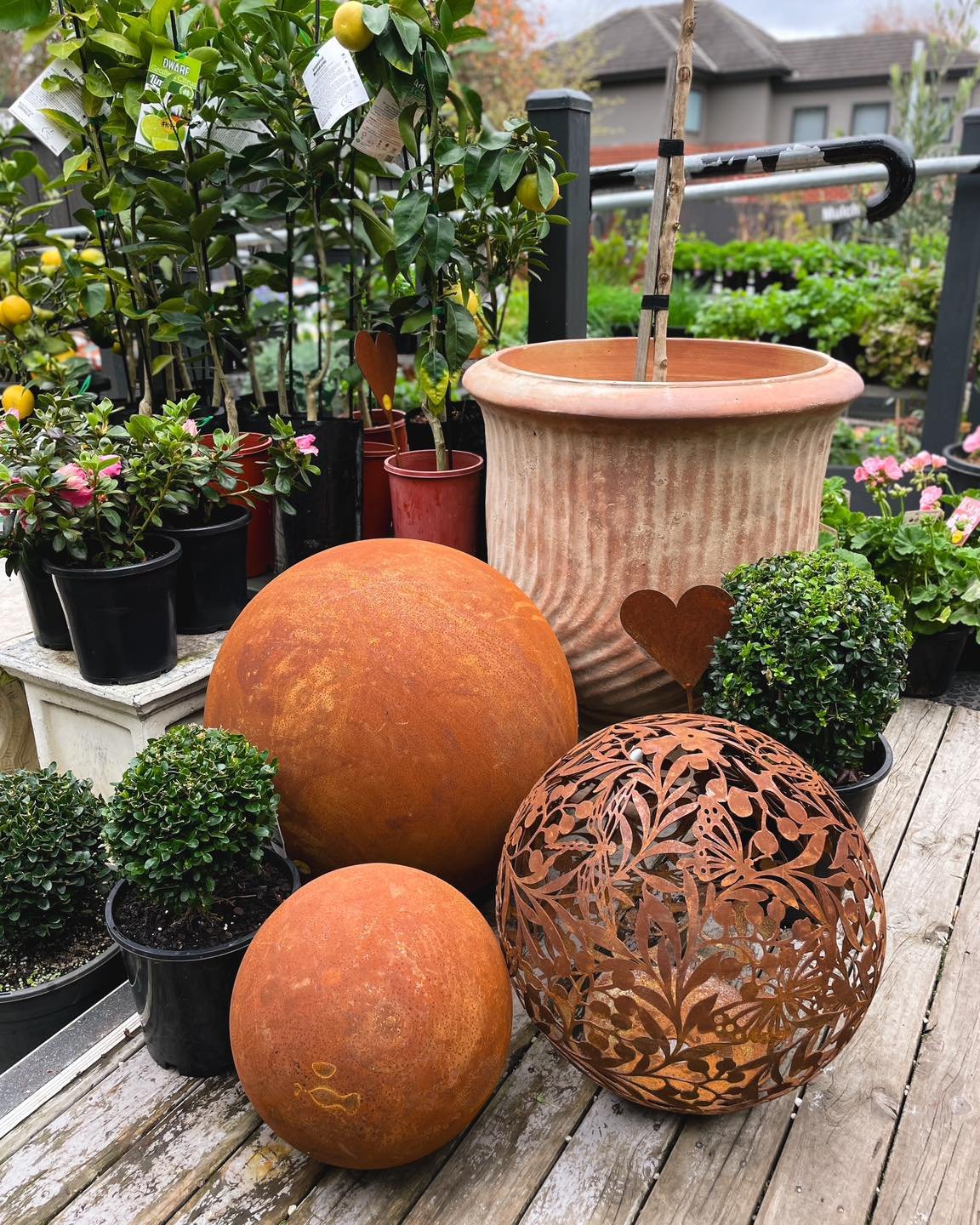 Contact — TOWN AND COUNTRY GARDENS