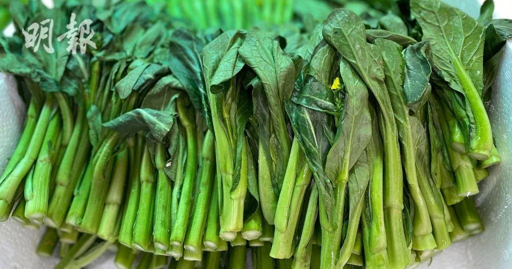 Choy sum — Liza Chan