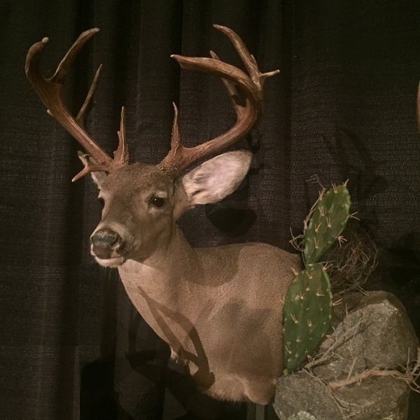 Award Recipients — Bowhunting in Arizona