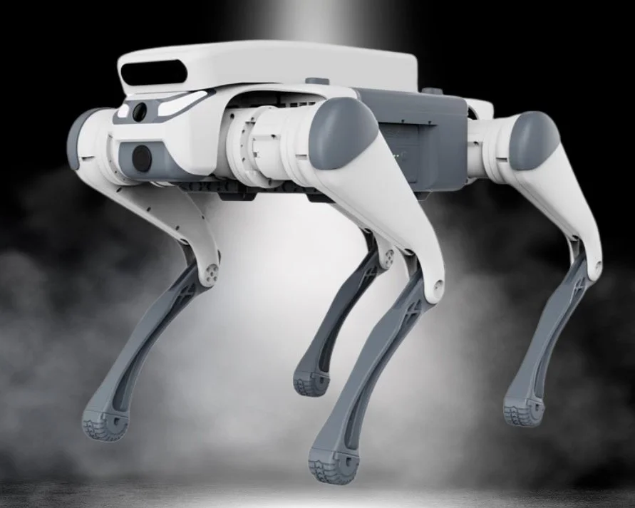 Rex Mini Pro — Rex Robots