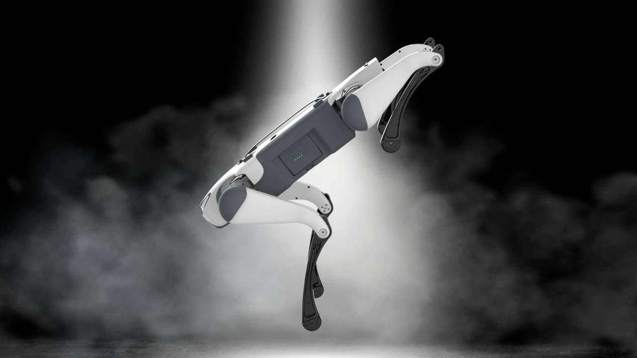 Rex Mini Pro — Rex Robots