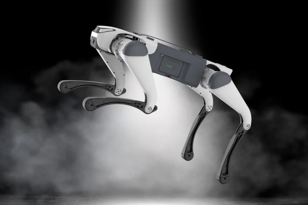 Rex Mini Basic — Rex Robots