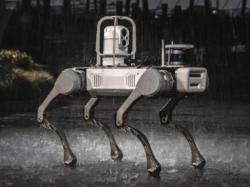 Rex Robots