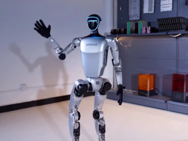 Rex Robots