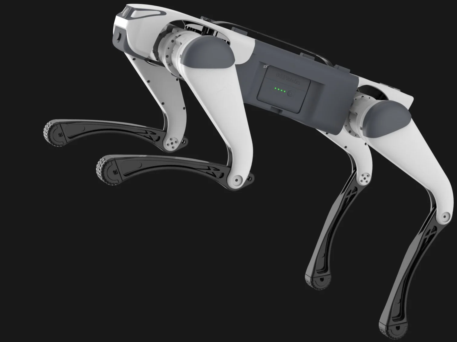 Robot Dog Hire Events — Rex Robots