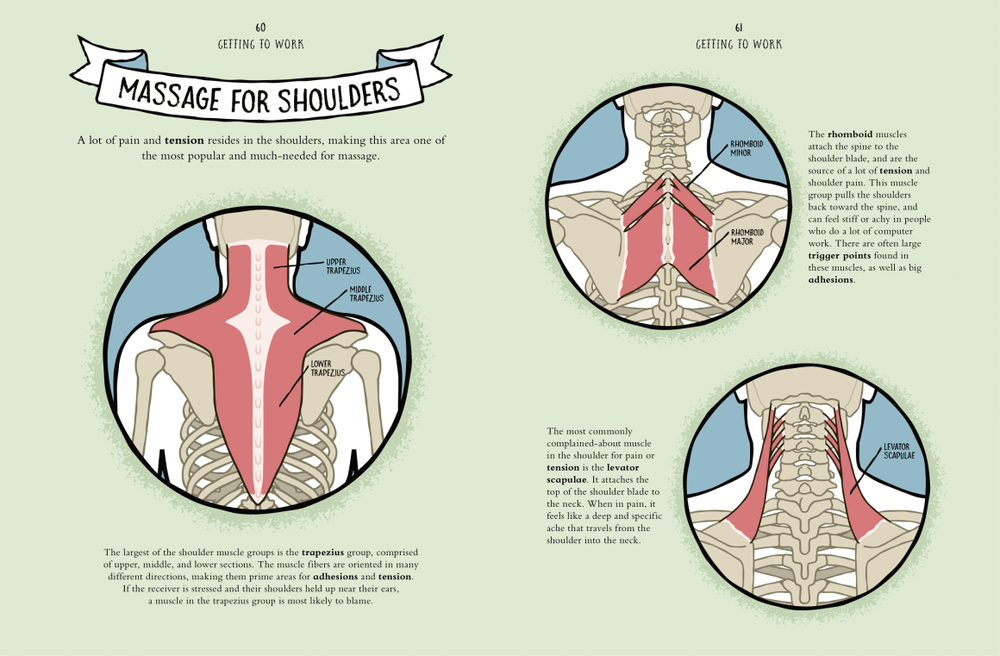 Simple Massage Techniques With Illustrations for Beginners