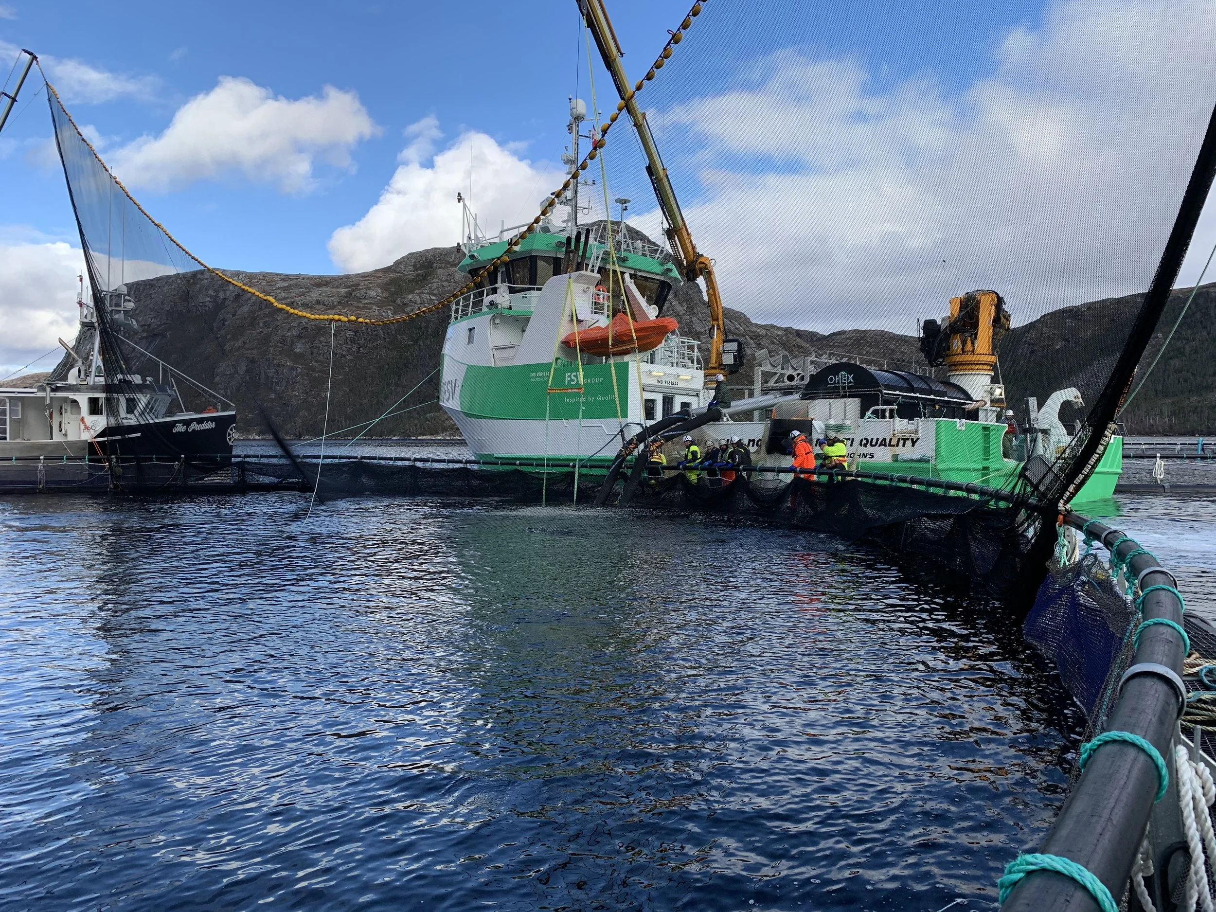 Mechanical Delousing - Impacts and Costs - Alan W Cook Consulting and ...