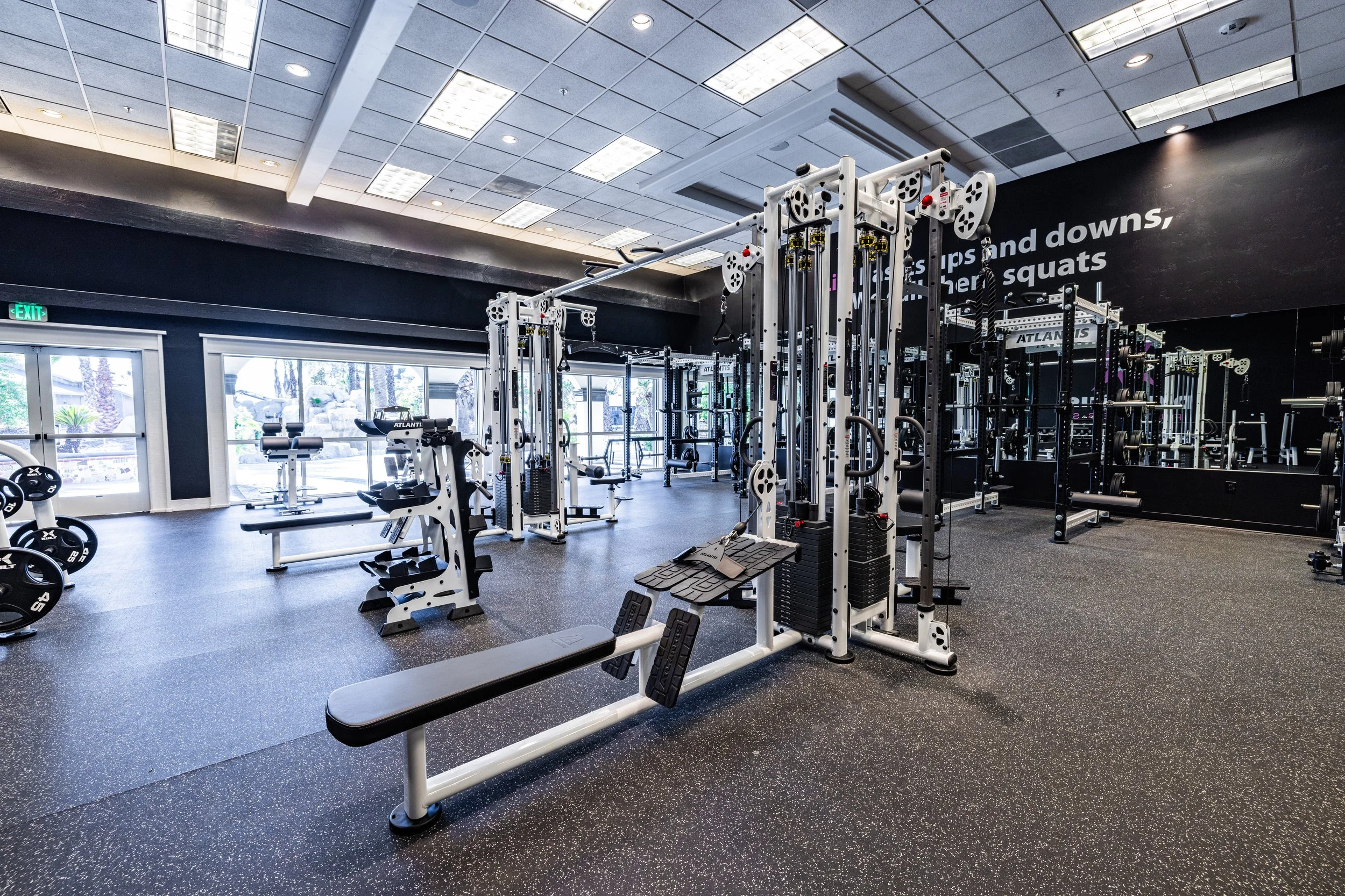 Facility — Dynamis