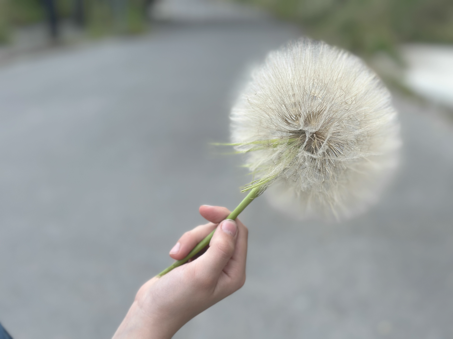 INECAT Art & Thérapie