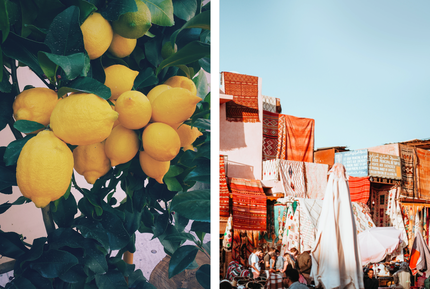 What is Levantine Food? | CERU Restaurants in London