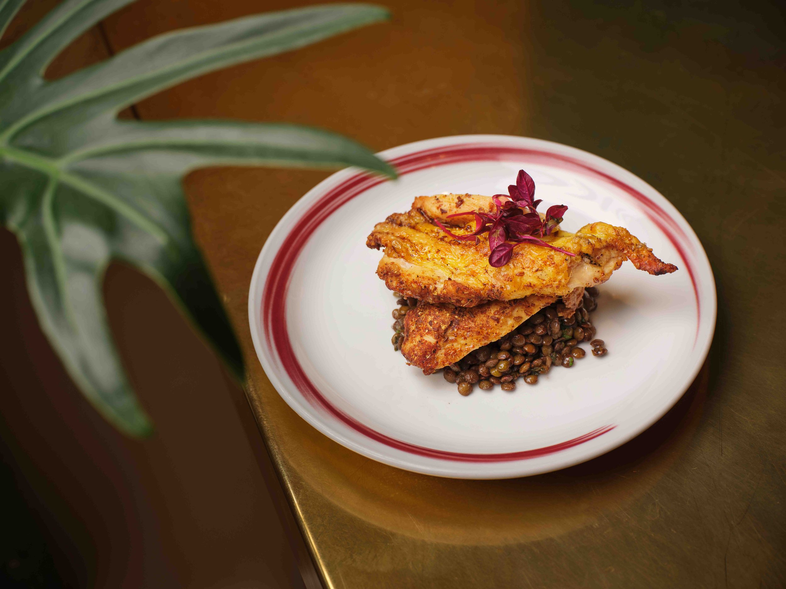 CERU | London's Best Eastern Mediterranean Restaurant