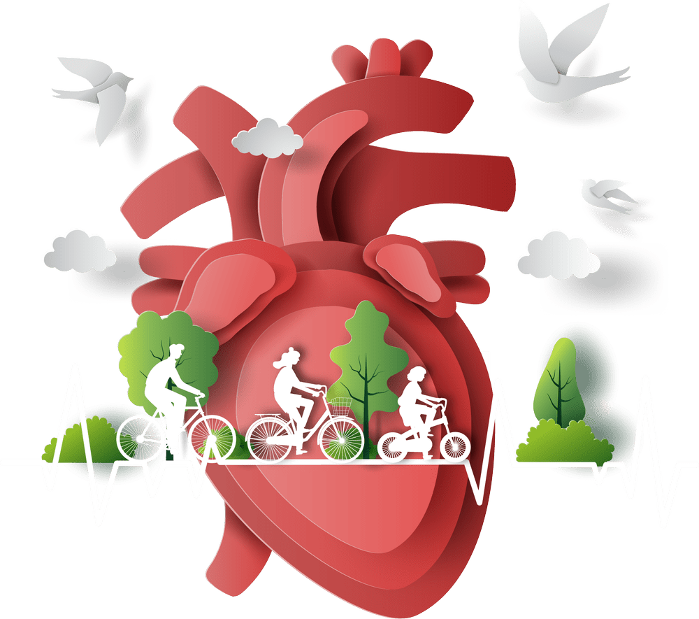 Heart Attack and Stroke Prevention — Palmetto Wellness