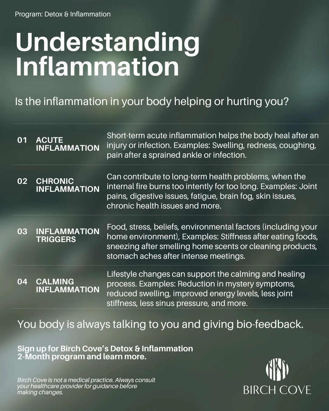Understanding Inflammation — Birch Cove