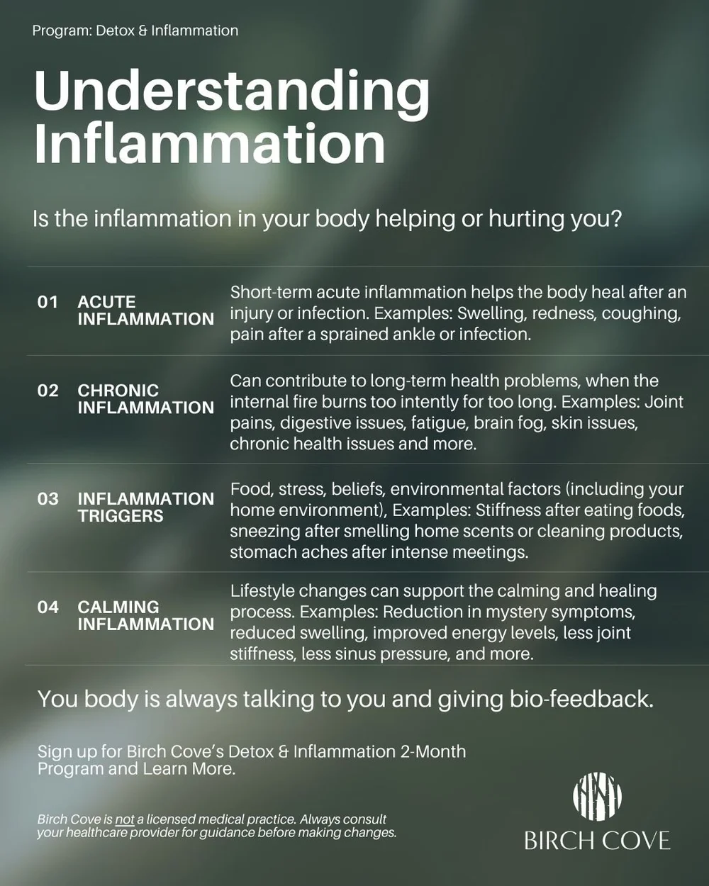 Understanding Inflammation: The Key to Managing Your Health — Birch Cove