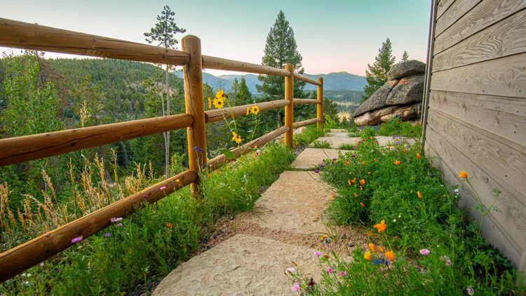 Duke's Landscape Company | Landscape design, Patios, & Outdoor Kitchens ...
