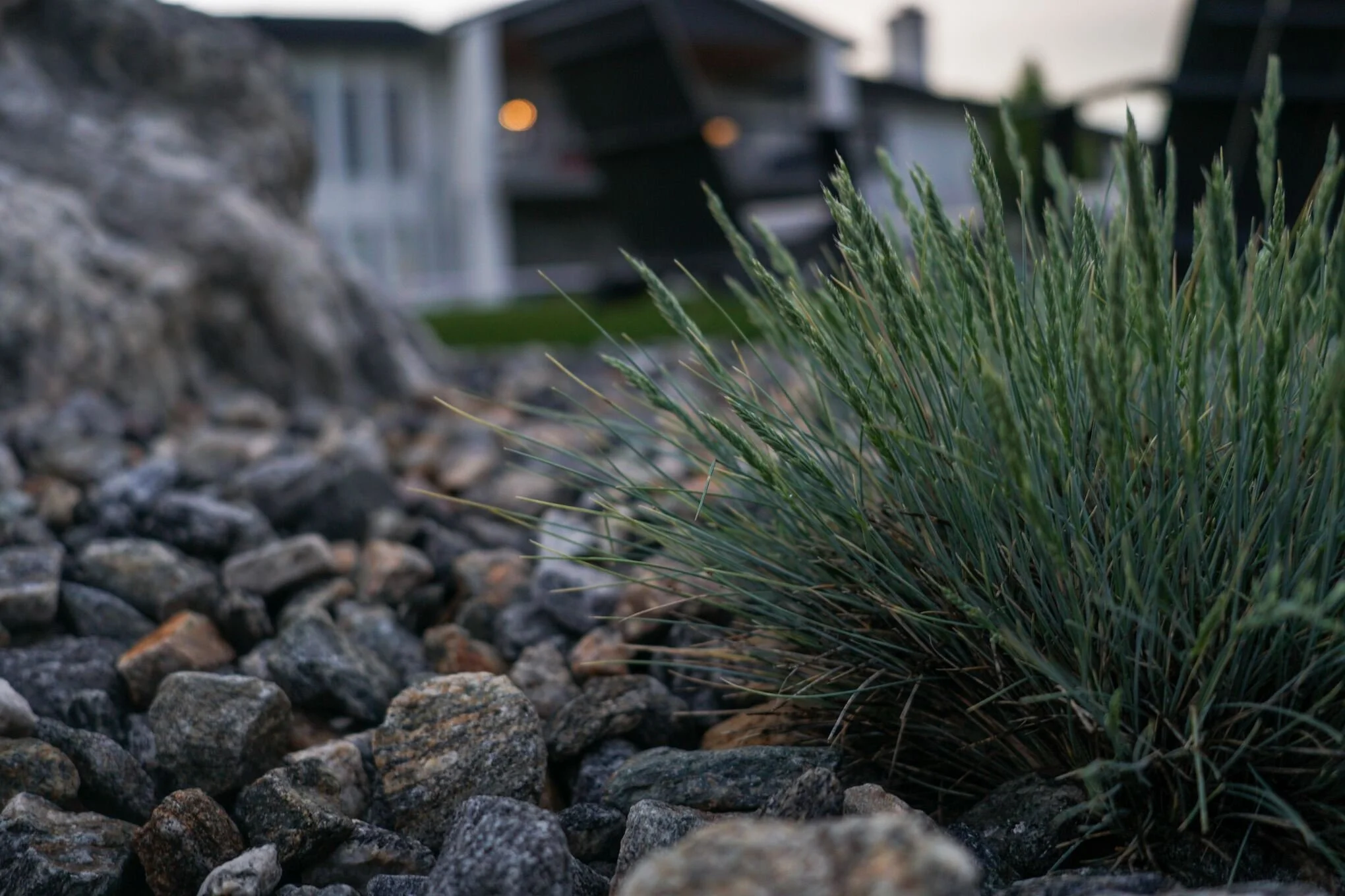 Commercial Drainage Company in Golden & Fort Collins, CO | Duke's
