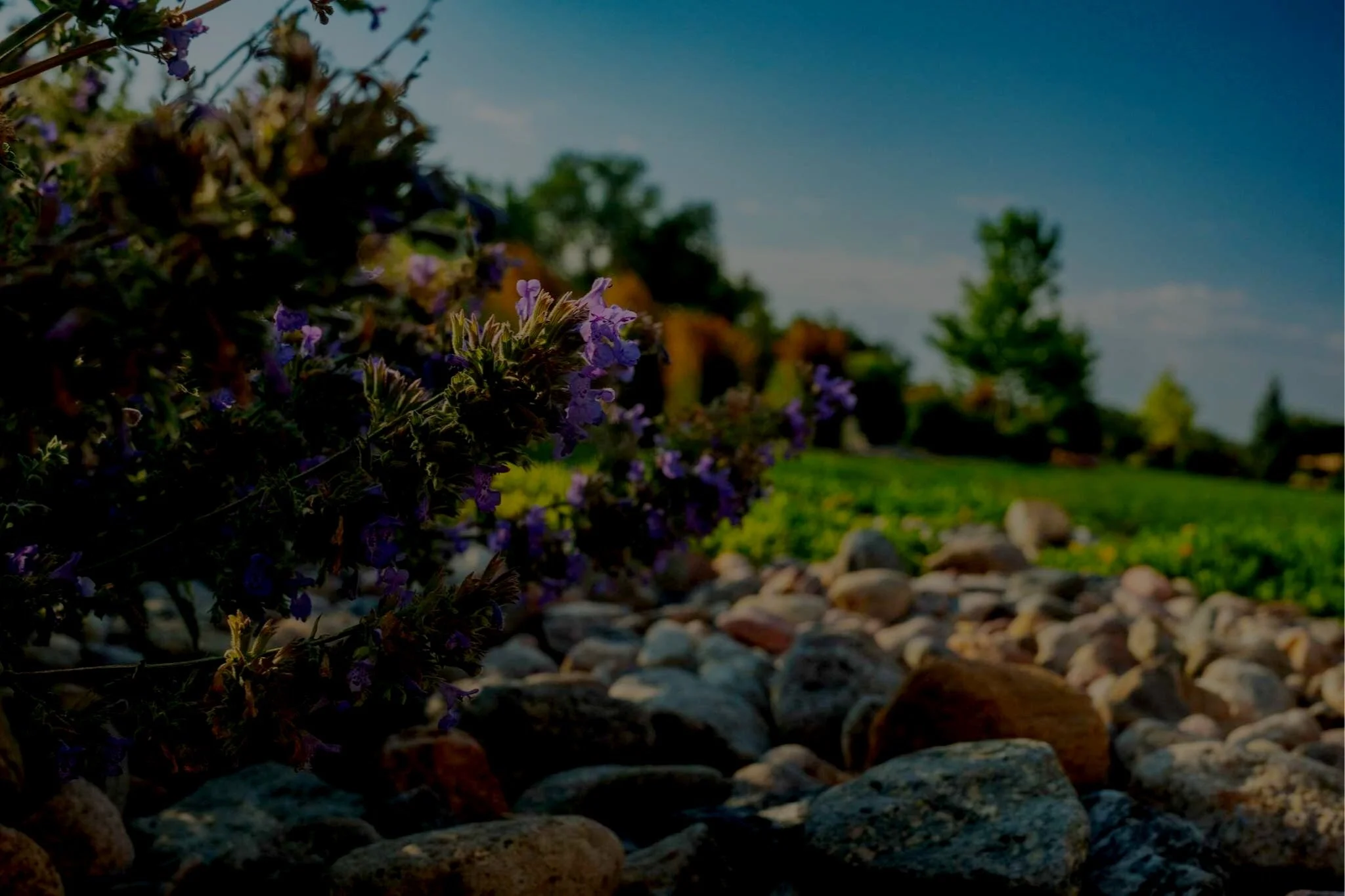 Landscape Company In Golden, CO | Duke's Landscape Company