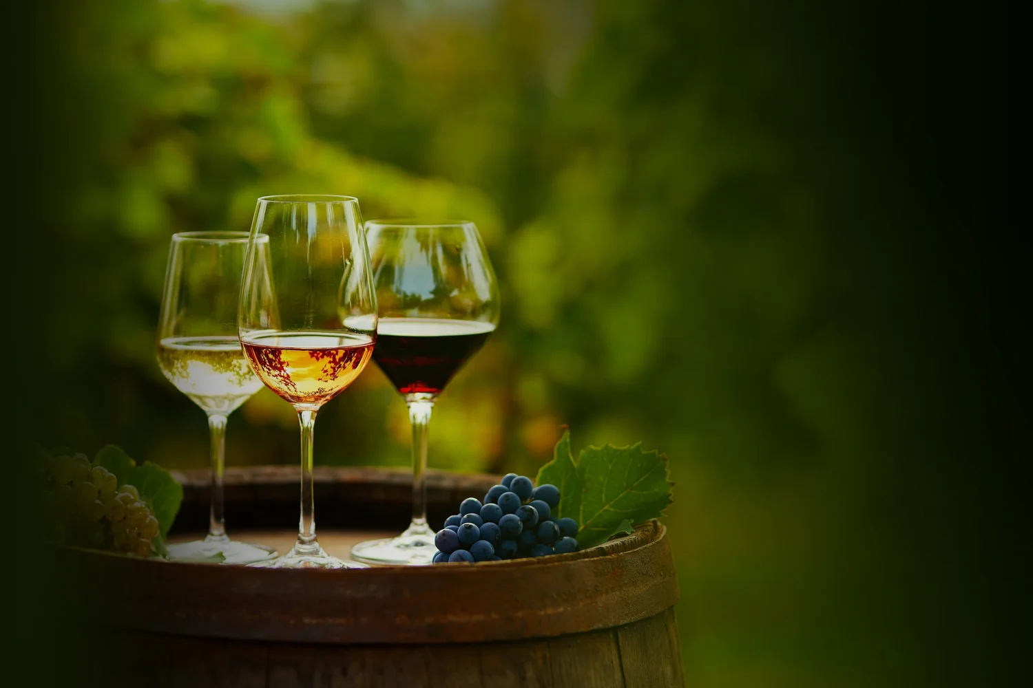 INTERNATIONAL WINE SYMPOSIUM