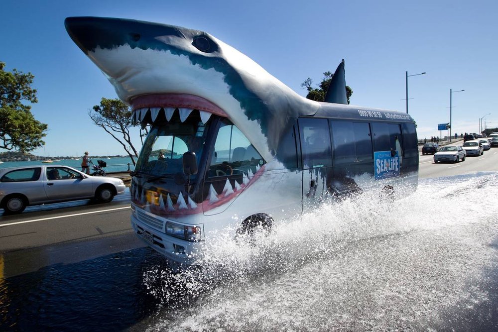 Shark Bus — EASTERBROOK