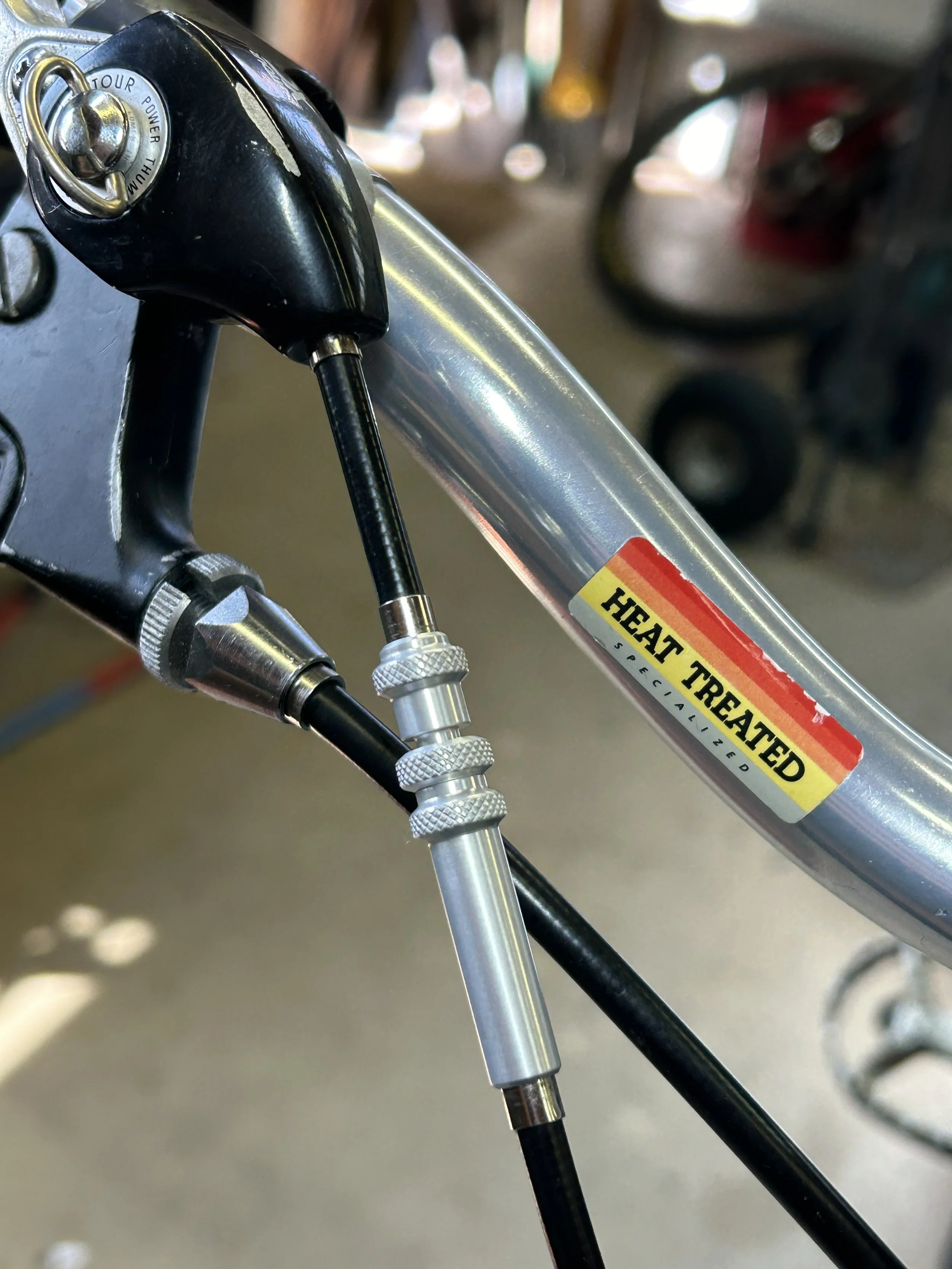 Store 1 — House of Looptail