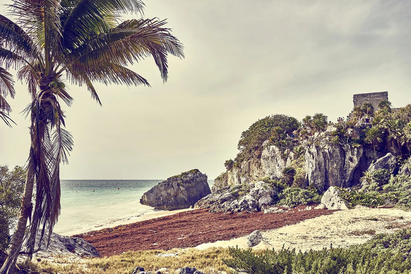 Our Story — Bardacious