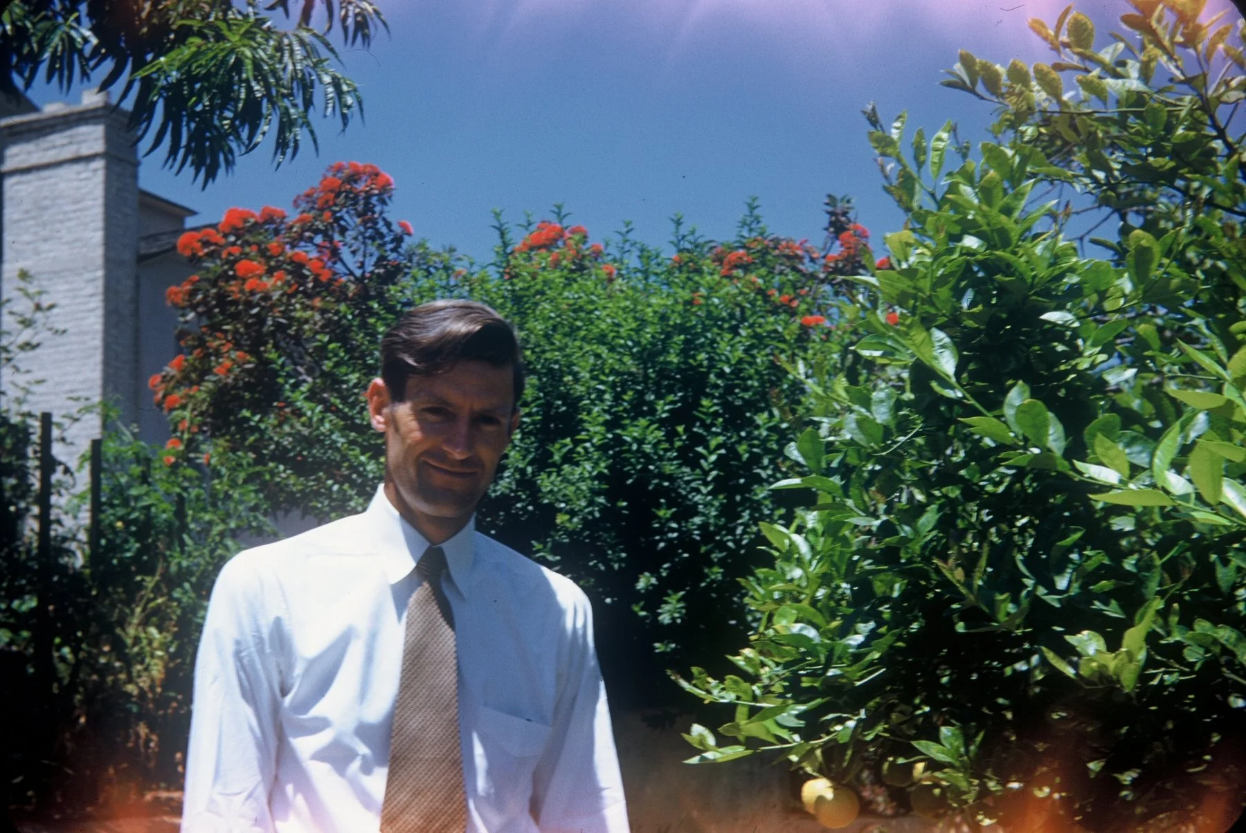 About Reece | Byron Herbert Reece Society