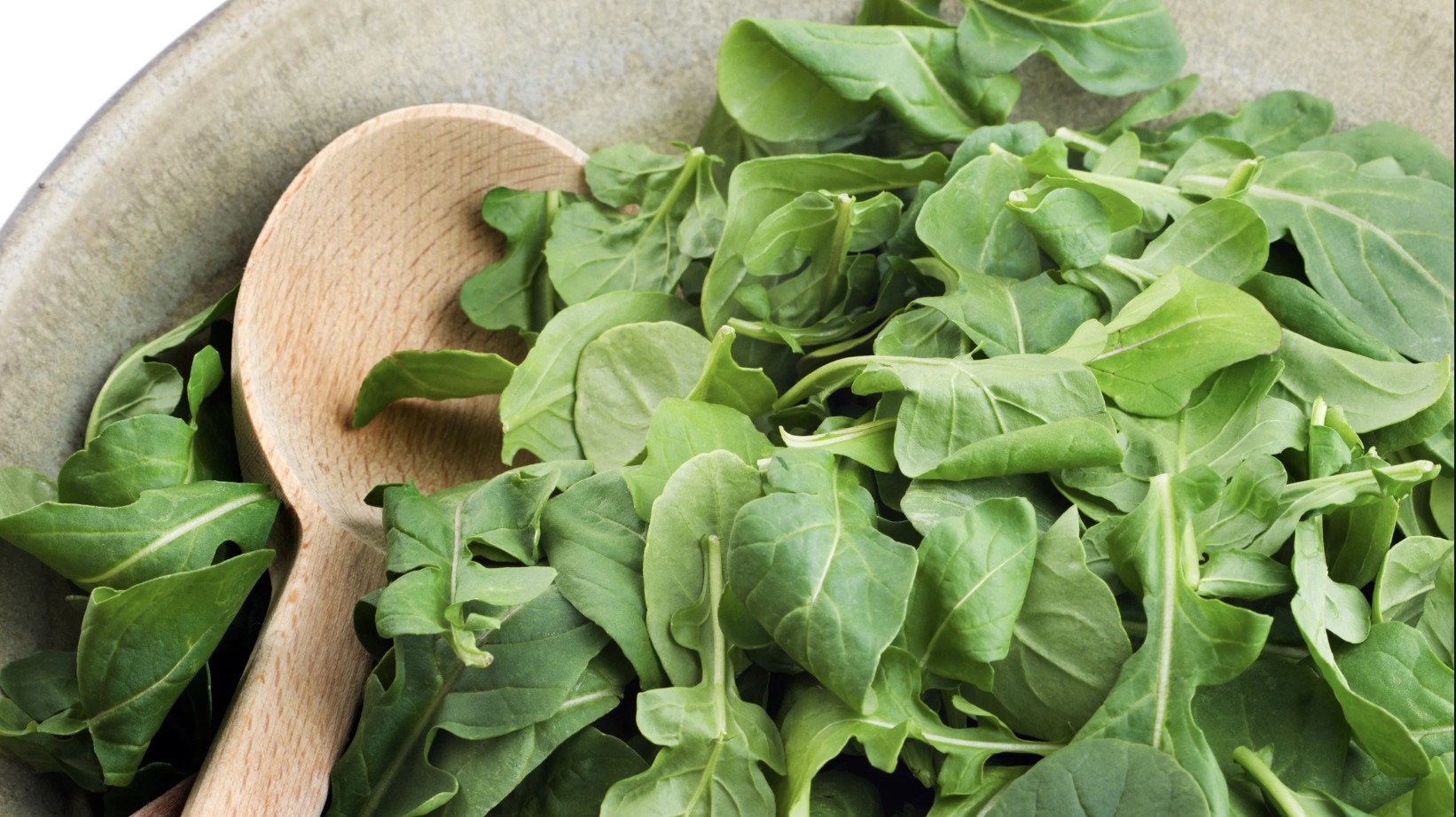 Arugula (Eruca sativa) — The Passionate Herbalist