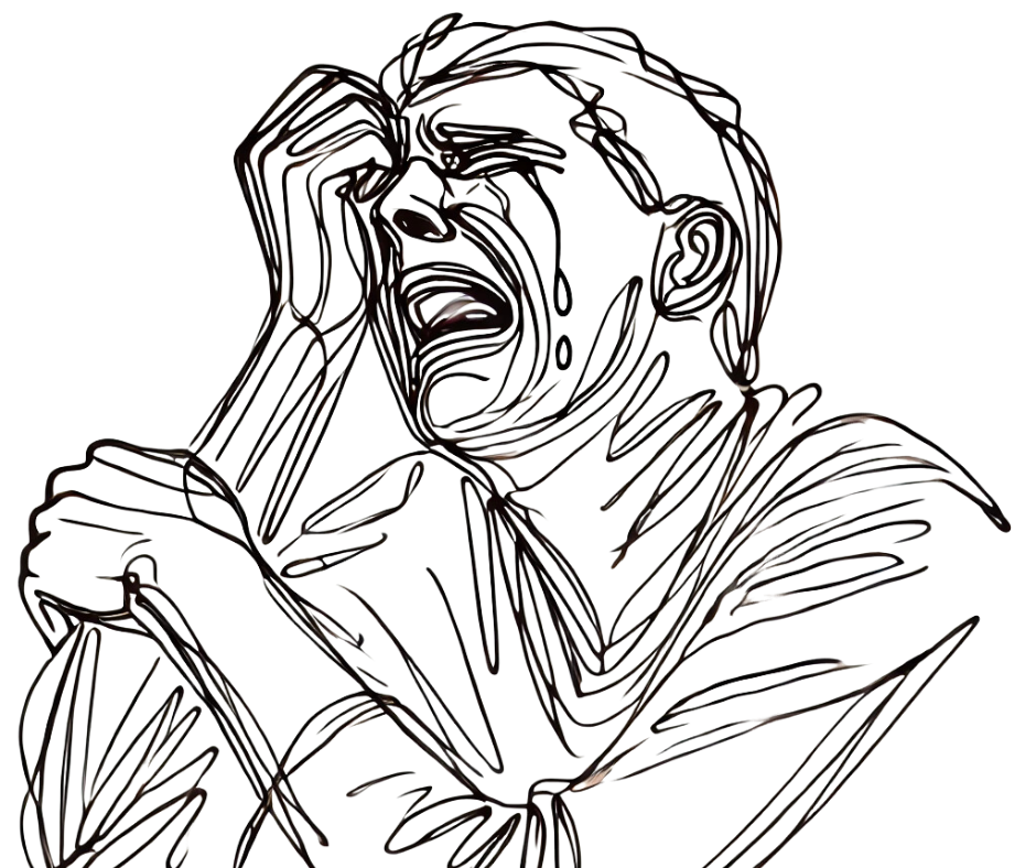 The Duluth Model: Its Impact on Men and Children in Custody Cases ...