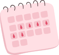 The Menstrual Cycle with Premenstrual Disorders (PMDs) — International ...
