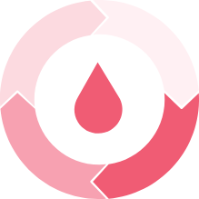 The Menstrual Cycle with Premenstrual Disorders (PMDs) — International ...