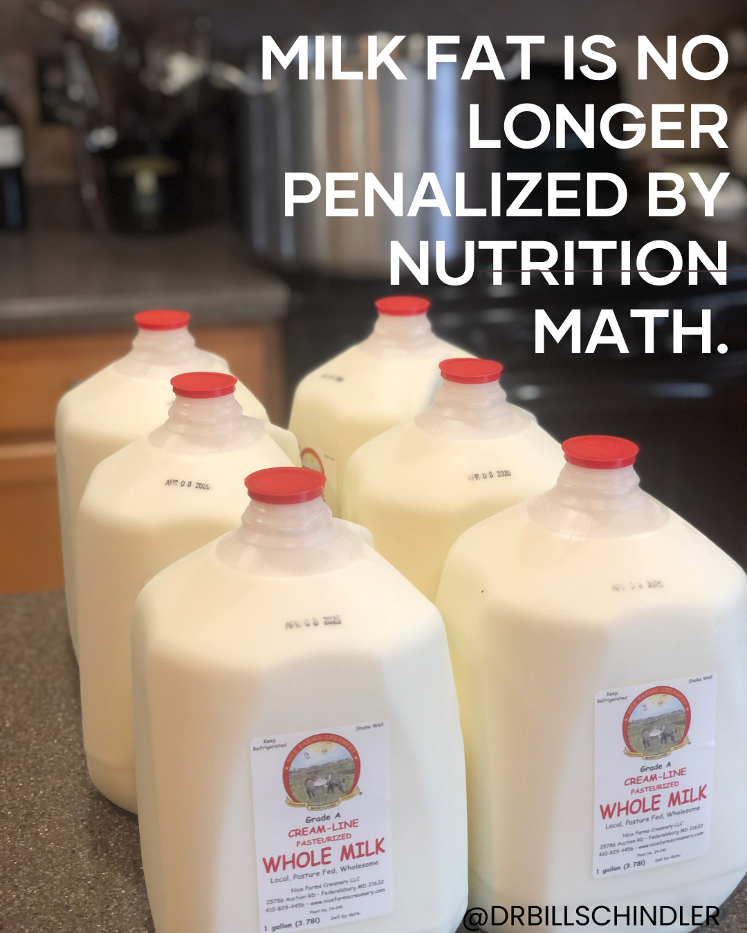 Why Whole Milk Should Return to Schools — Modern Stone Age