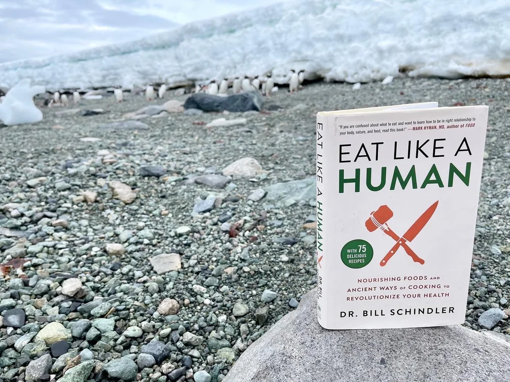 Eat Like a Human | Experience Ancient Flavors — Modern Stone Age