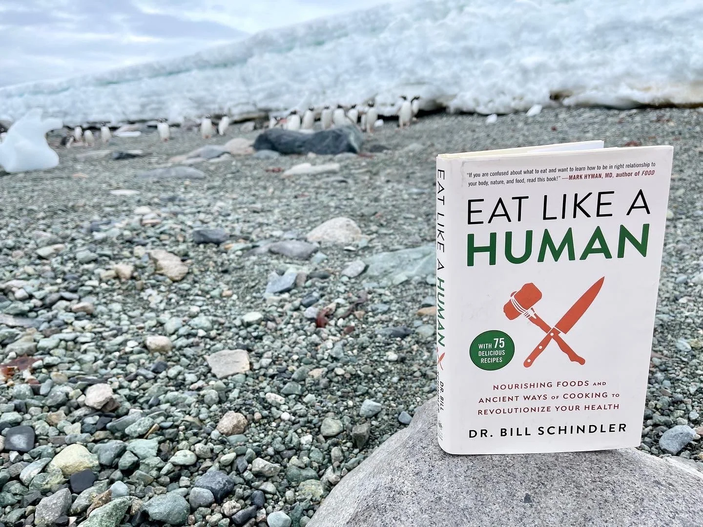 Eat Like a Human | Experience Ancient Flavors — Modern Stone Age