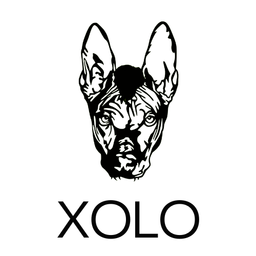 Menu — Xolo